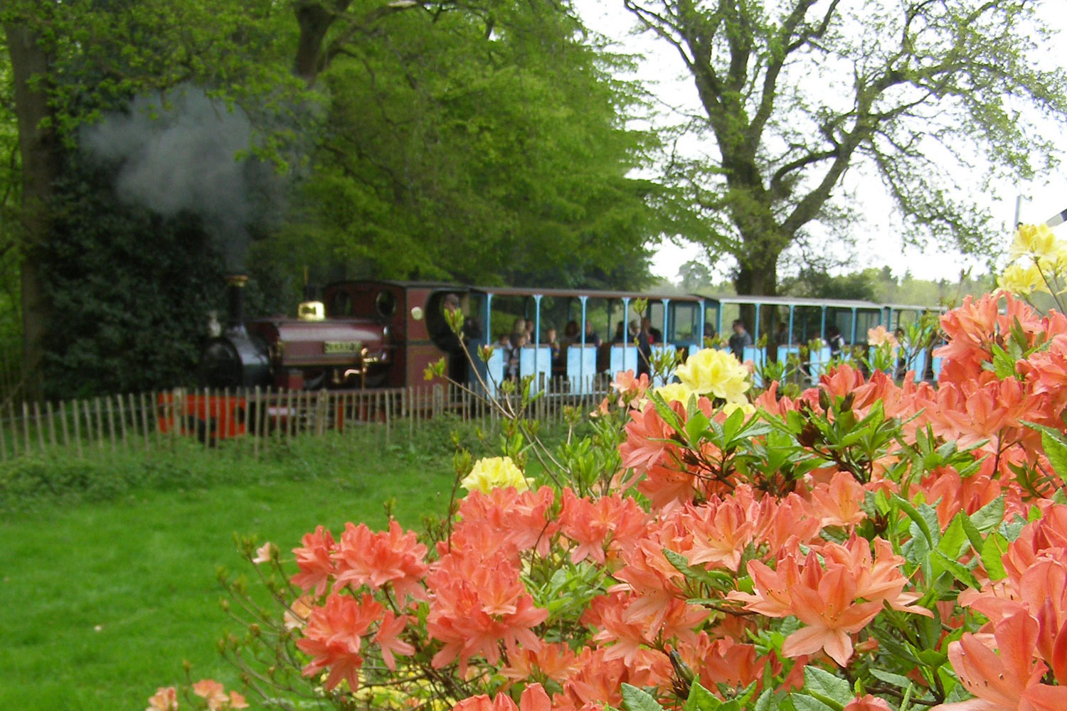 Steam Railways - Hollycombe Steam in the Country