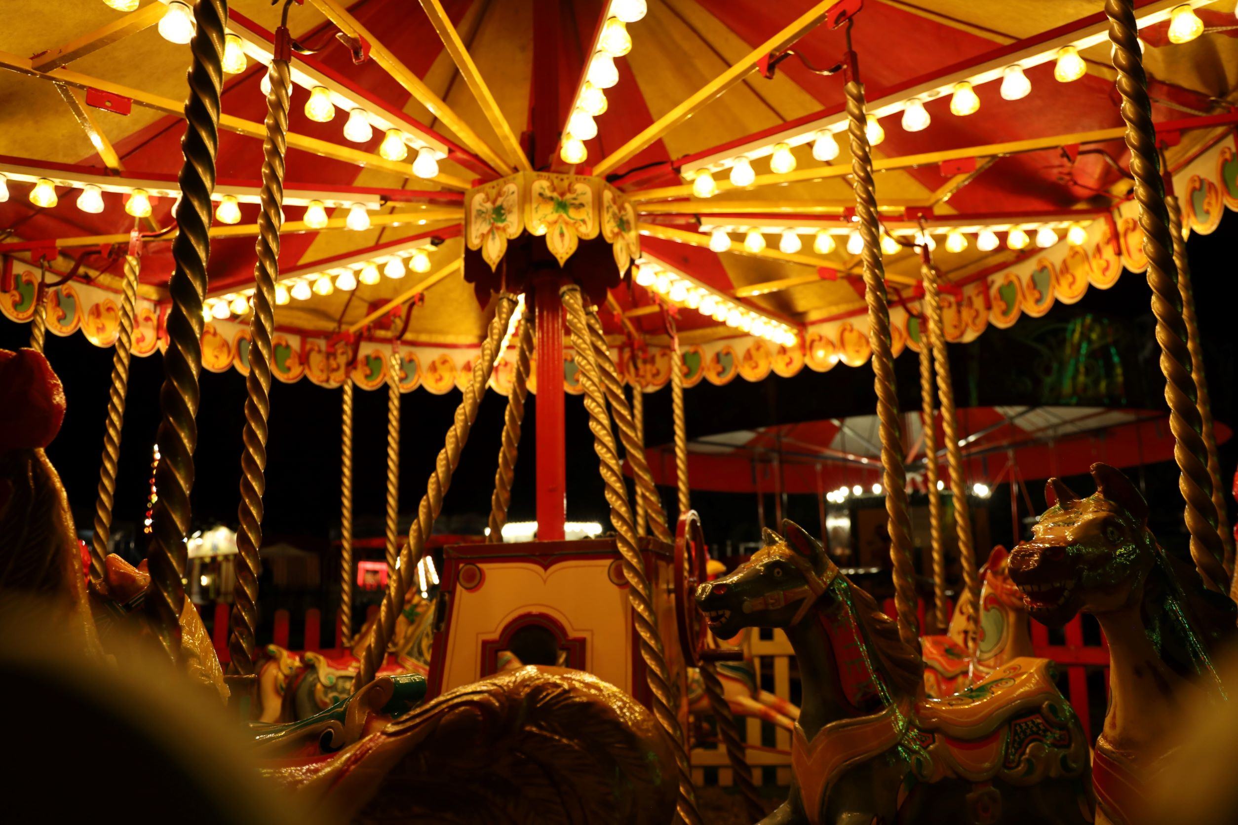 Dobbie - Hollycombe Steam in the Country